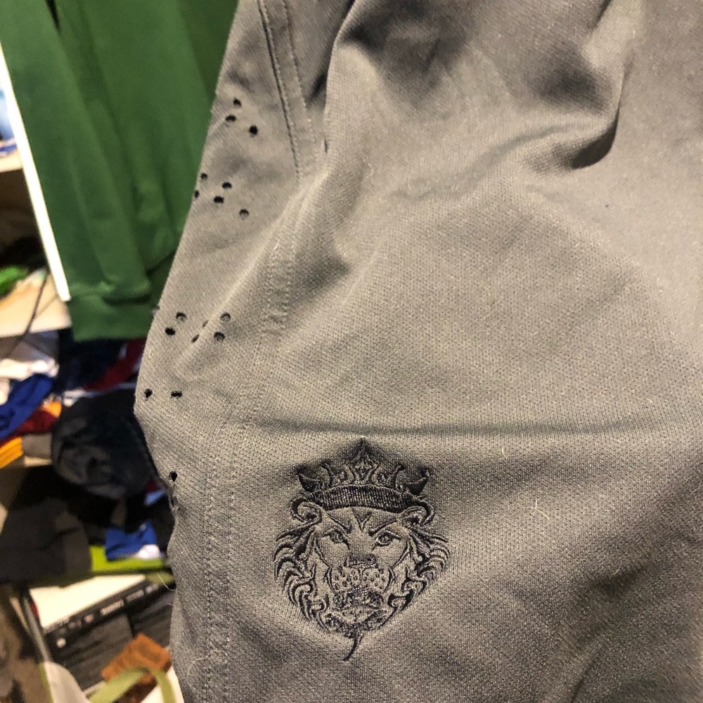 Lebron Retro Shorts Rare Lion Logo - Gem